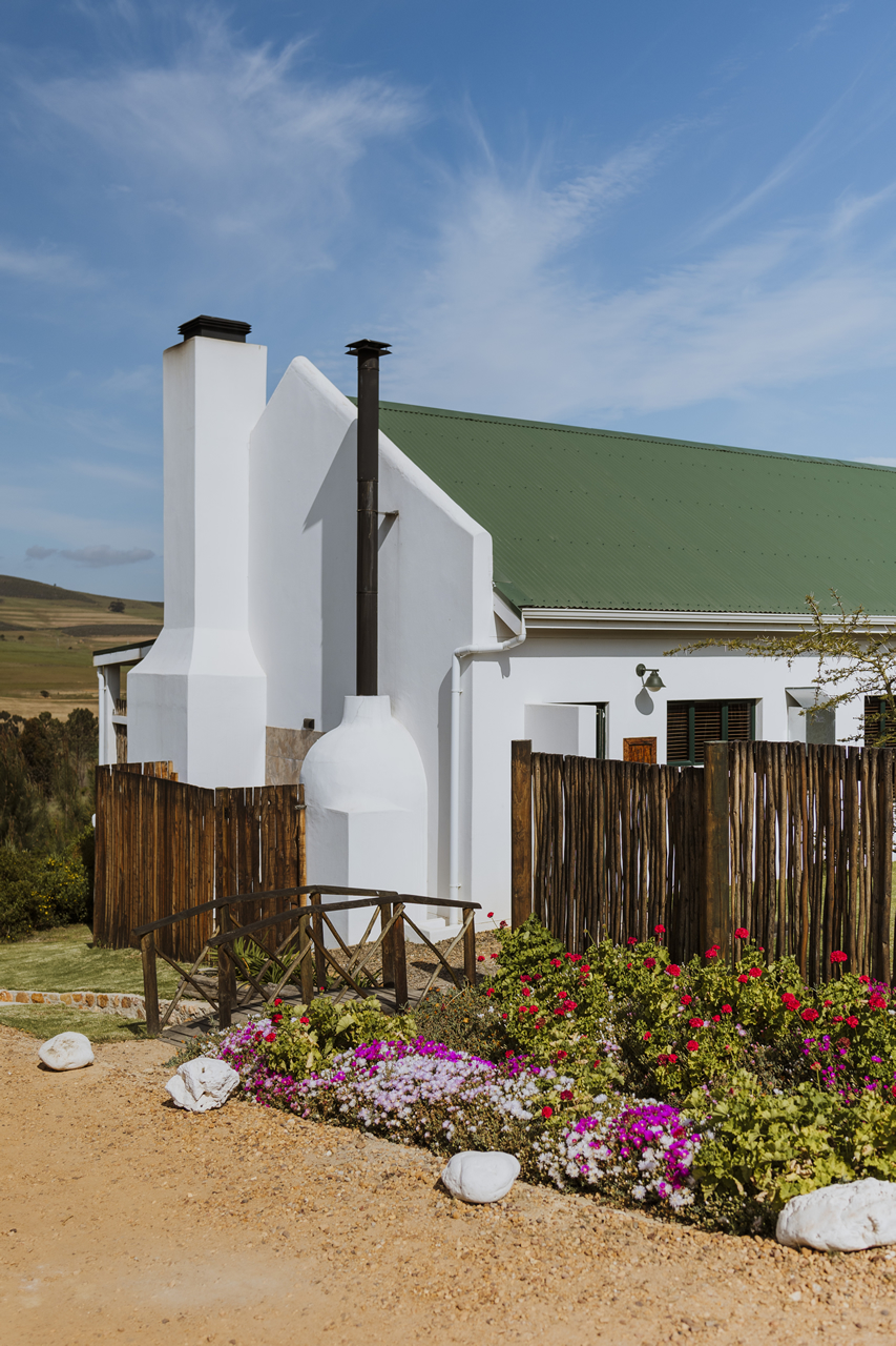 Woodpecker – Blue Crane Farm Lodge